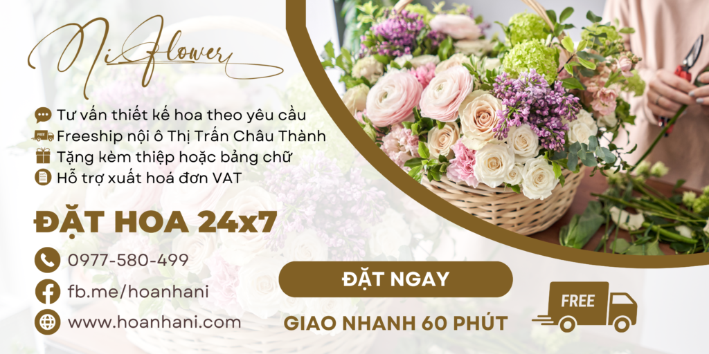 Shop Hoa Tươi Bến Tre Hoa nhà Ni - Đặt hoa online, giao hoa miễn phí